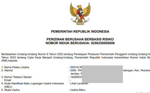 Contoh NIB Perorangan yang Wajib Diketahui Pelaku Usaha - Jasa NPWP